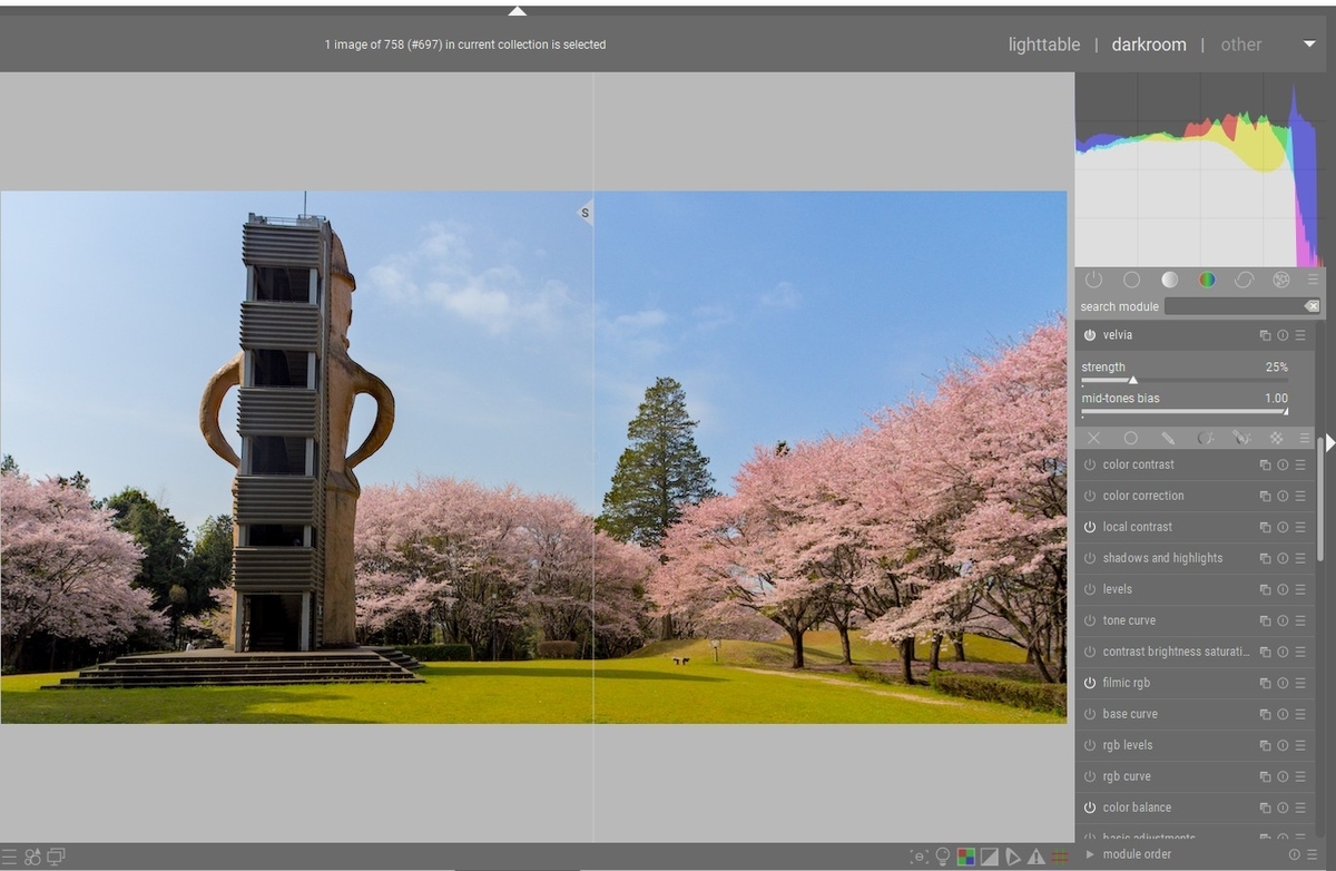 darktableでサクラを編集する - computer_philosopher’s diary