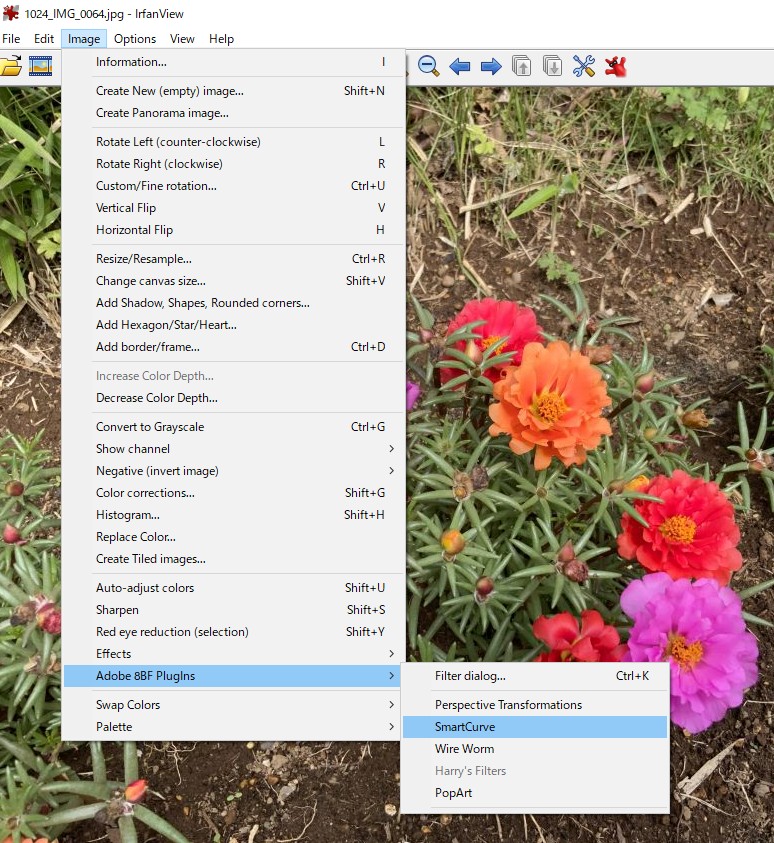 darktableのフィルムシミュレーション（1）～darktableのプリセットとスタイルファイル（5） - computer_philosopher’s diary