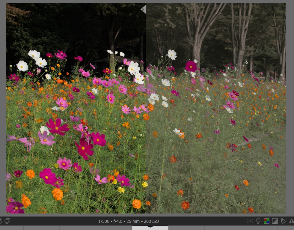 G'MICで、LUTファイルをつくる - computer_philosopher’s diary