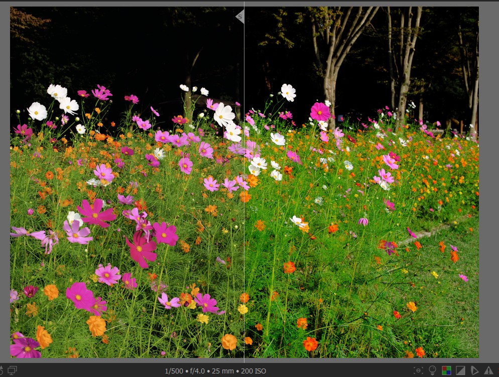 G'MICで、LUTファイルをつくる - computer_philosopher’s diary