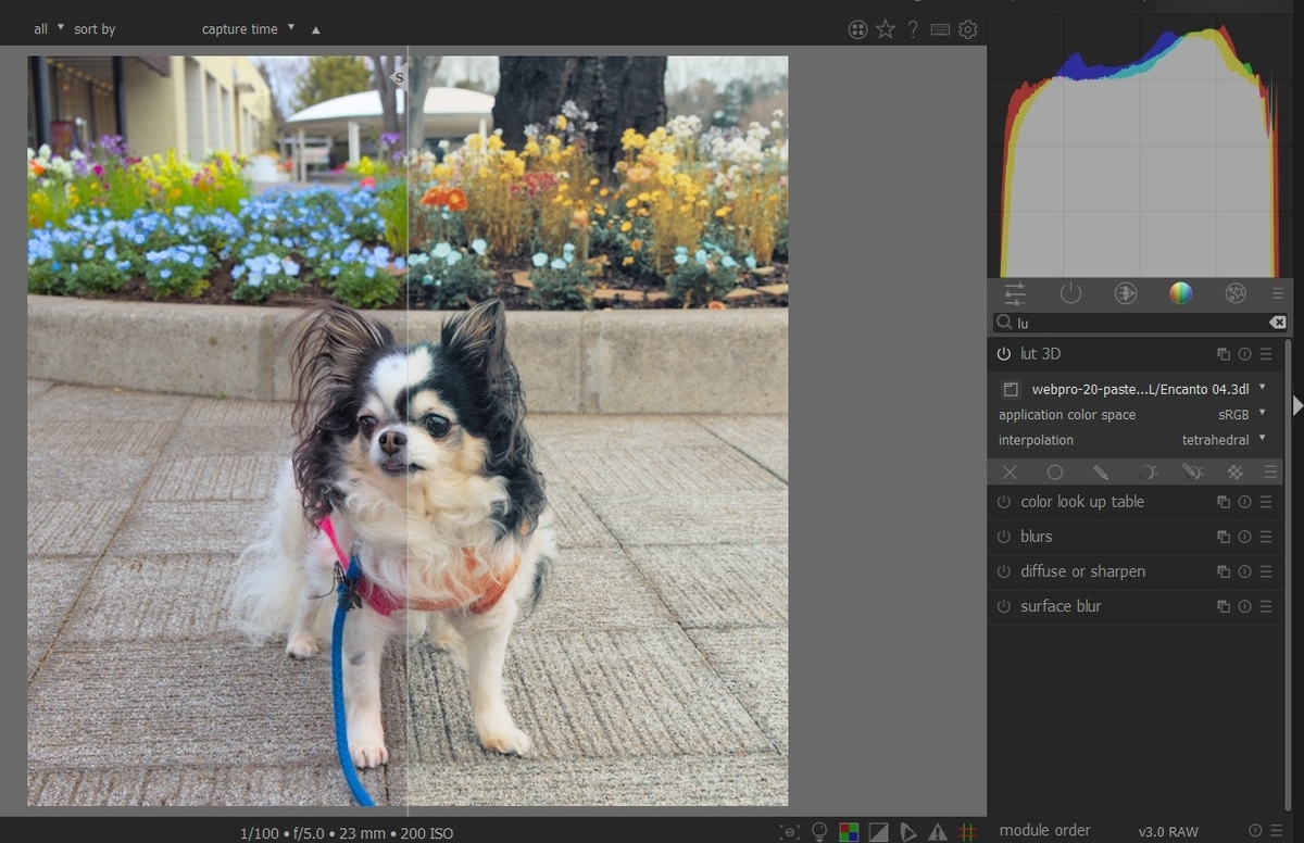 パステルカラーのLUT - computer_philosopher’s diary