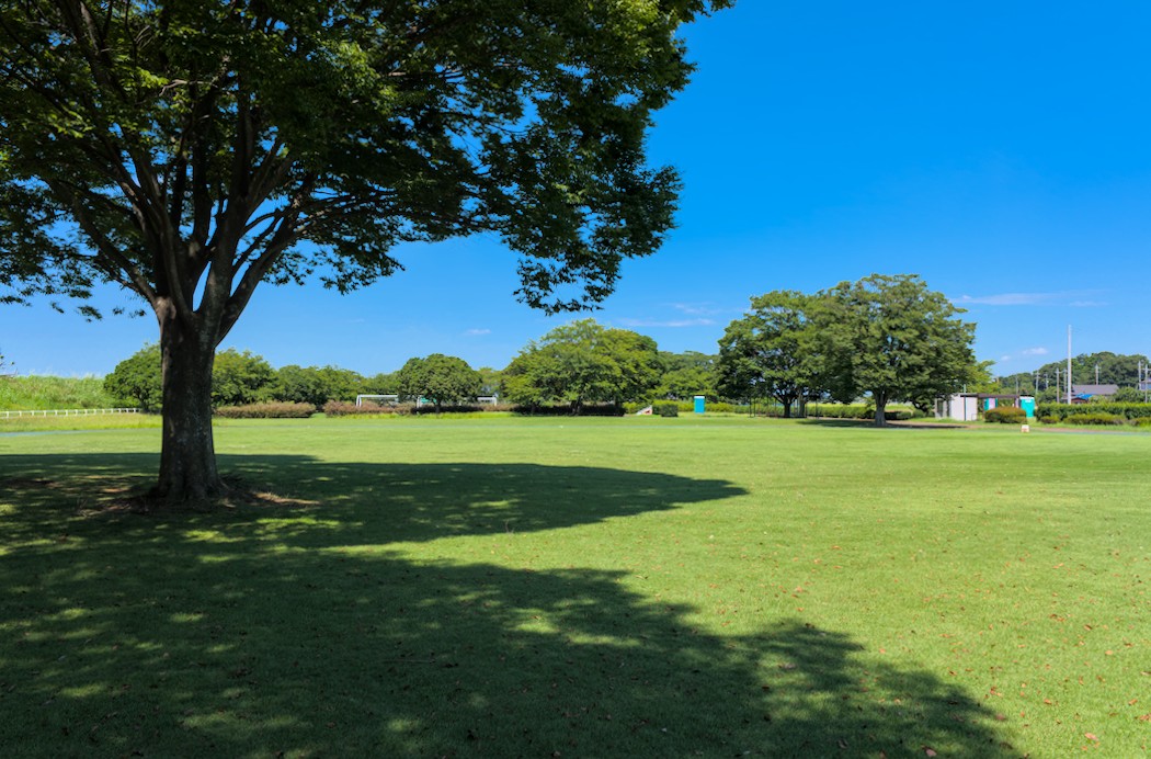 小貝川スポーツ公園（3）～つくば市とその周辺の風景写真案内（878） - computer_philosopher’s diary