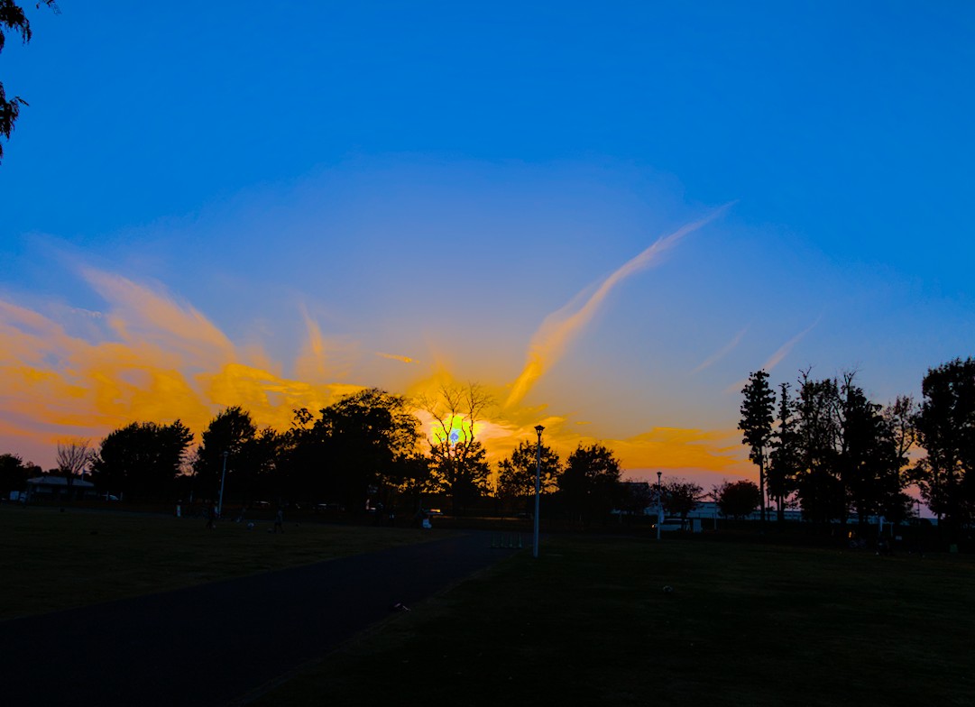 研究学園前公園の夕陽～つくば市とその周辺の風景写真案内（952） - computer_philosopher’s diary