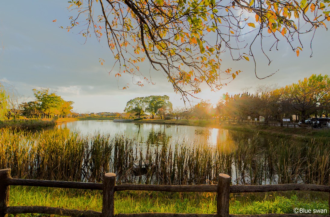 乙戸沼公園の夕陽（土浦市）（6）～つくば市とその周辺の風景写真案内（962） - computer_philosopher’s diary
