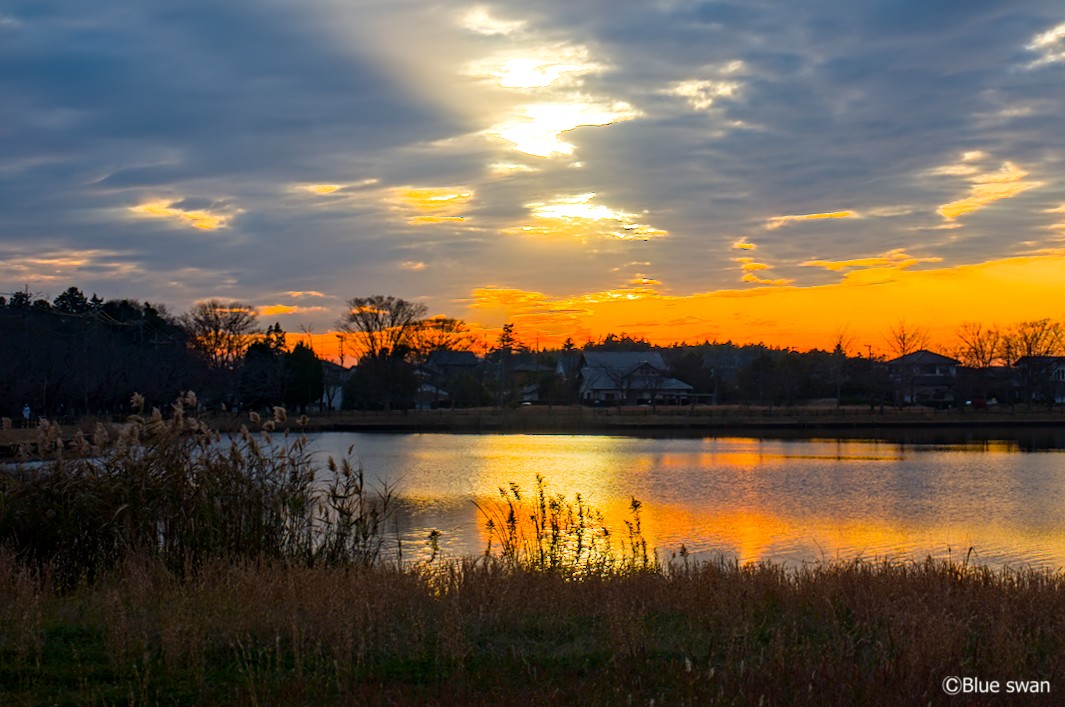 乙戸沼公園の夕陽（土浦市）（8）～つくば市とその周辺の風景写真案内（966） - computer_philosopher’s diary