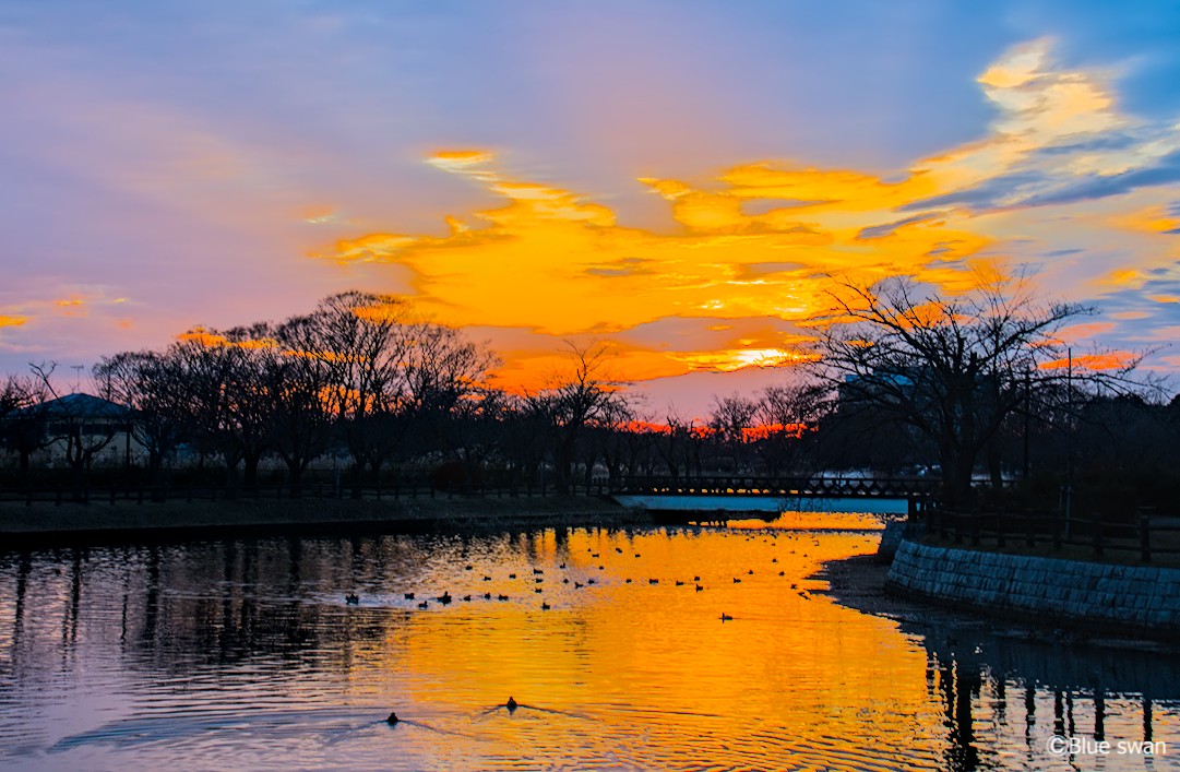 乙戸沼公園の夕陽（土浦市）（9）～つくば市とその周辺の風景写真案内（967） - computer_philosopher’s diary