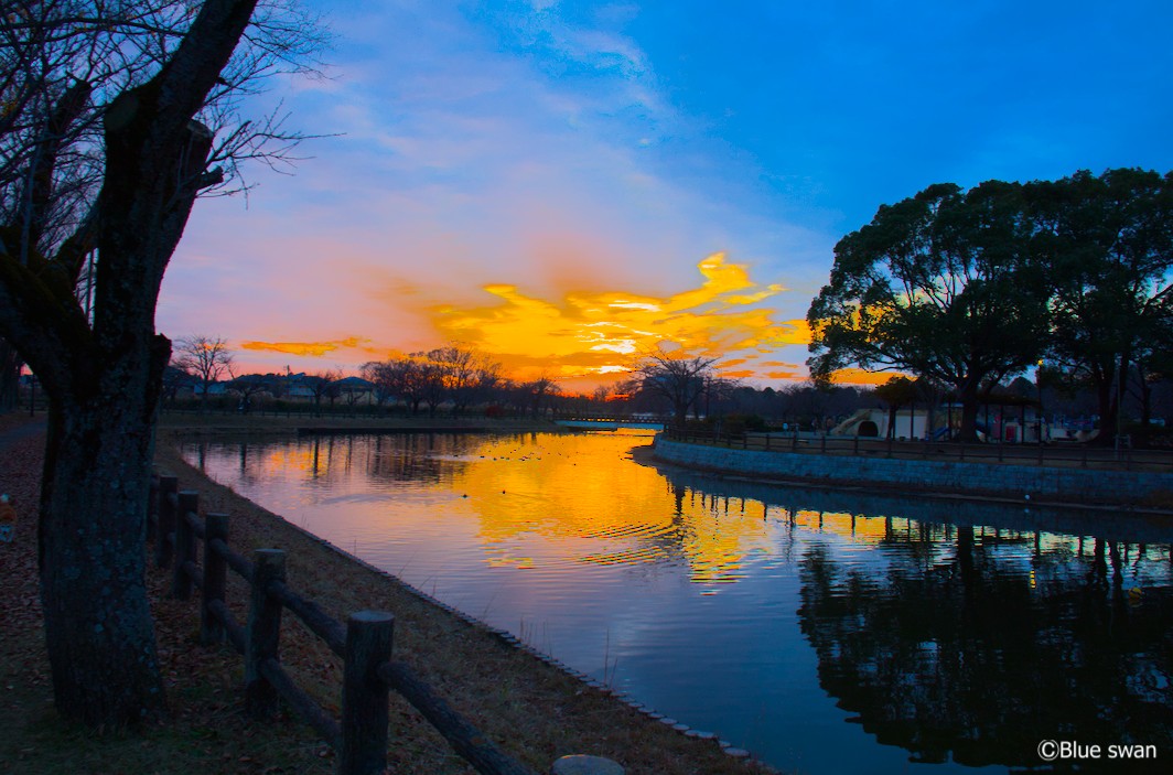 乙戸沼公園の夕陽（土浦市）（9）～つくば市とその周辺の風景写真案内（967） - computer_philosopher’s diary