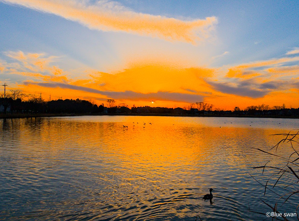 乙戸沼公園の夕陽（土浦市）（11）～つくば市とその周辺の風景写真案内（977） - computer_philosopher’s diary
