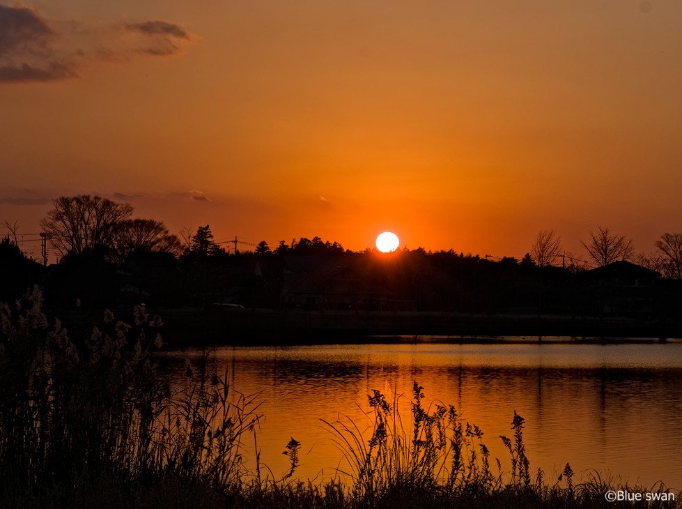 乙戸沼公園の夕陽（土浦市）（11）～つくば市とその周辺の風景写真案内（977） - computer_philosopher’s diary