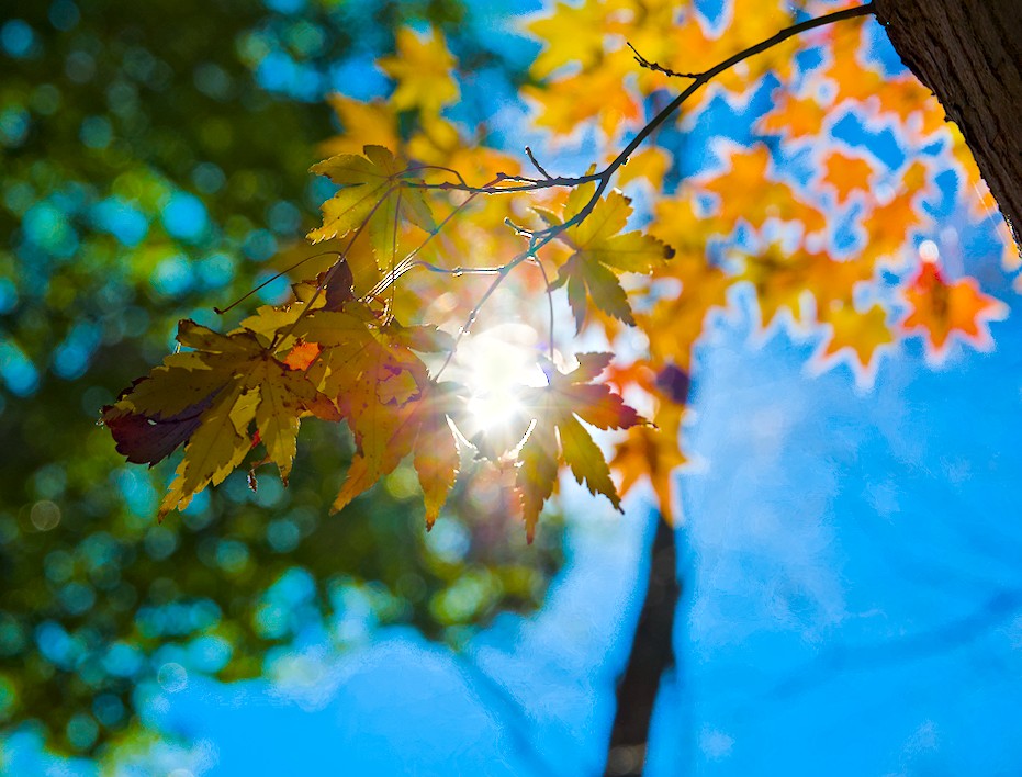 Gimpで太陽を入れる（1） - computer_philosopher’s diary