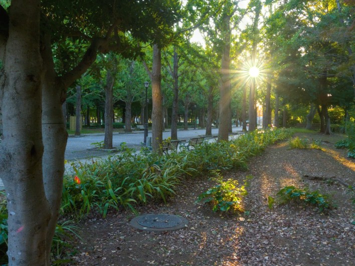 Gimpで太陽を入れる（3） - computer_philosopher’s diary