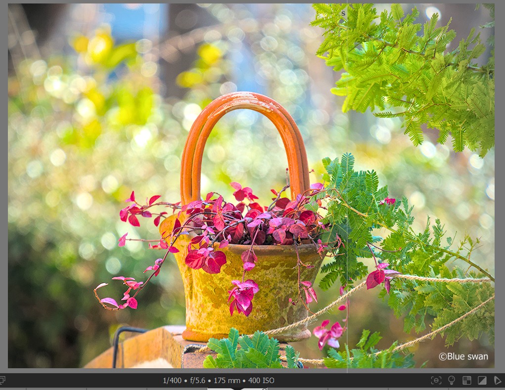 LUMIX G X VARIO PZ 45-175mm / F4.0-5.6 ASPH. / POWER O.I.S.の色収差 - computer_philosopher’s diary