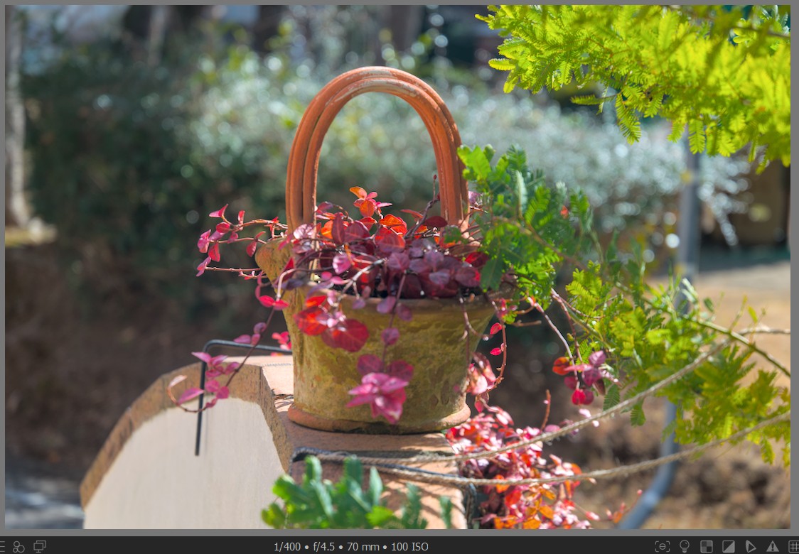 NIKON AF-S DX Zoom-Nikkor 18-70mm f/3.5-4.5G IF-EDの色収差 - computer_philosopher’s diary