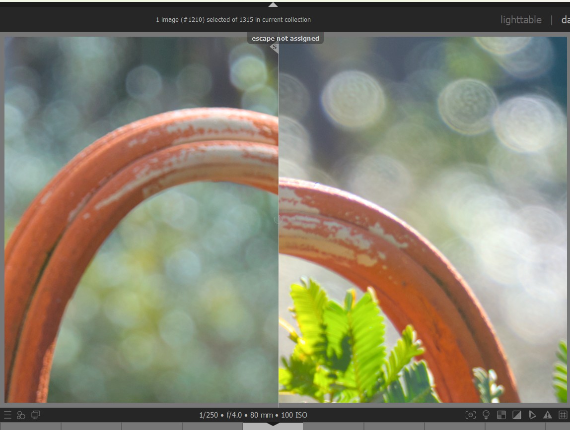 NIKON AF-S DX Zoom-Nikkor 18-70mm f/3.5-4.5G IF-EDの色収差 - computer_philosopher’s diary