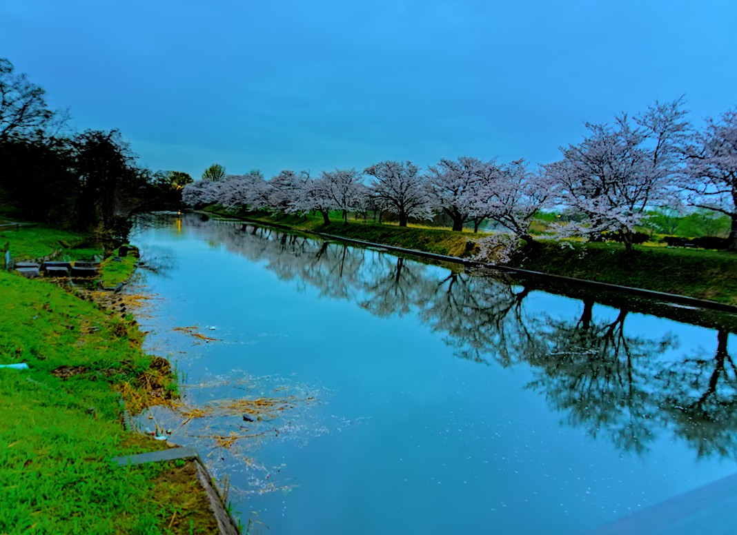 雨の日の夜明け - computer_philosopher’s diary