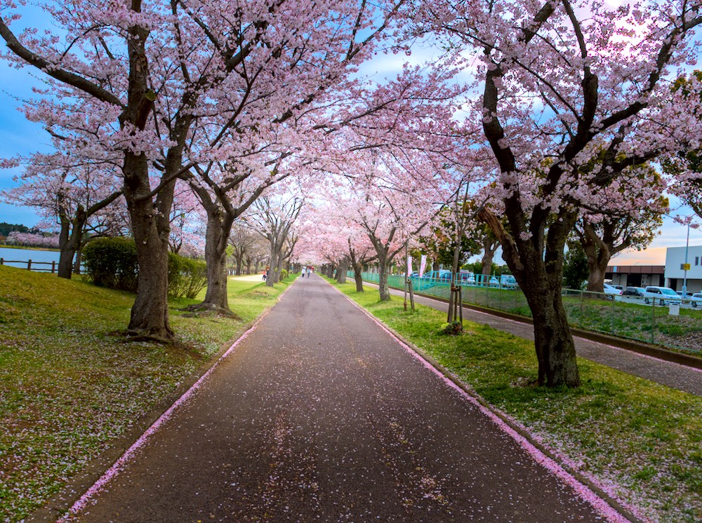 Lars van de Goorf風に（3） - computer_philosopher’s diary