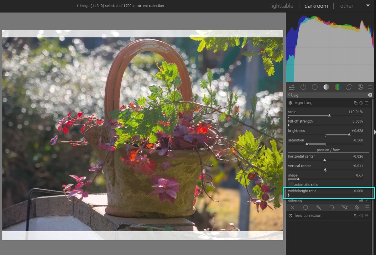 darktableのフレームの作り方 - computer_philosopher’s diary