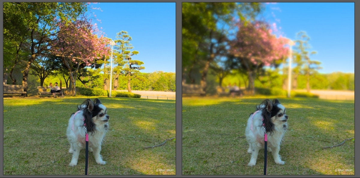 darktableでできること（3） - computer_philosopher’s diary