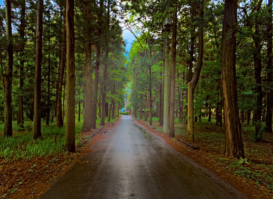 Lars van de Goorf風に（5） - computer_philosopher’s diary