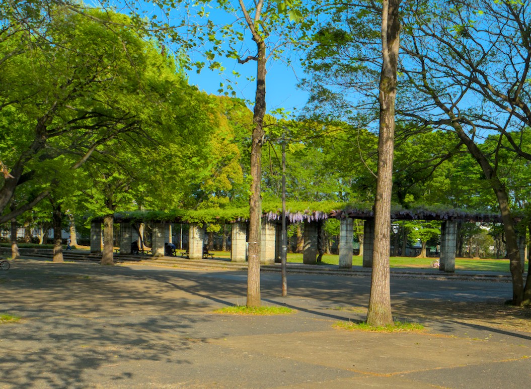 松代公園の藤 ～つくば市とその周辺の風景写真案内（1037） - computer_philosopher’s diary