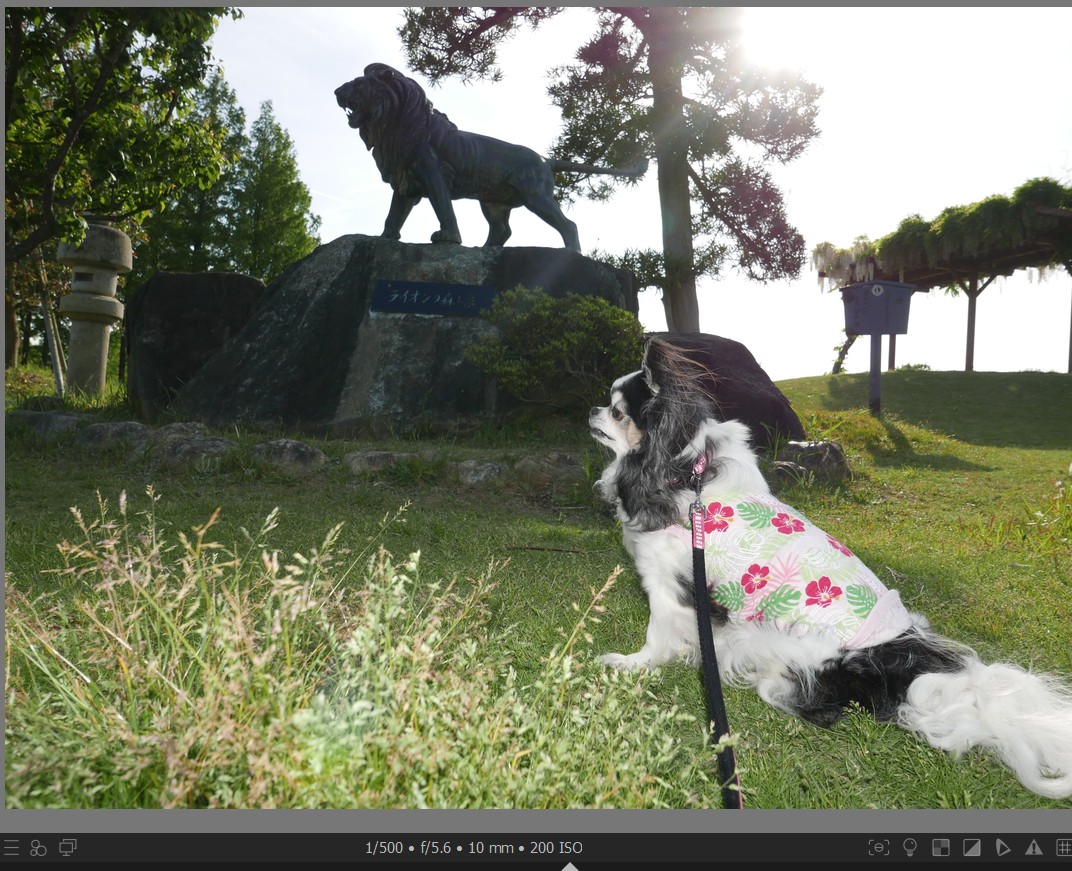 LX100のハイスピードシンクロ - computer_philosopher’s diary