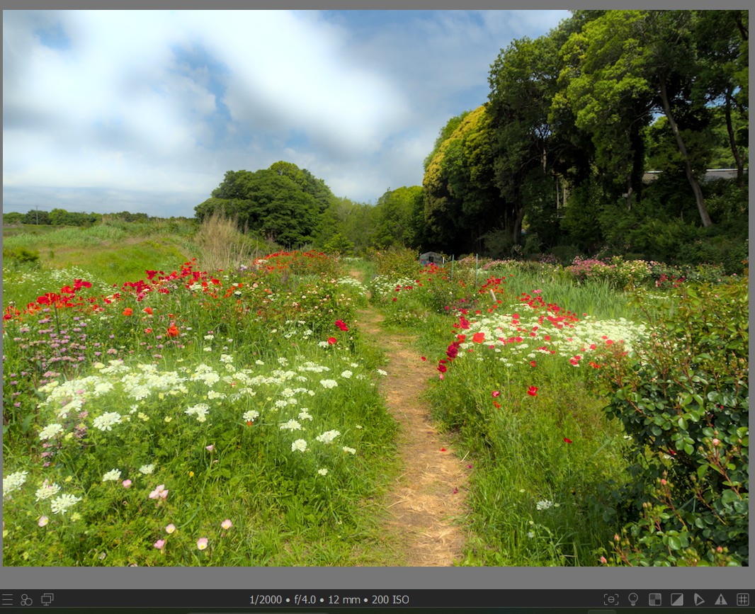 darktableのbloom - computer_philosopher’s diary