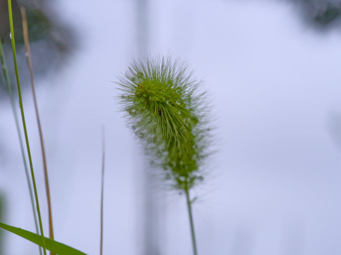Jo Stephen（ ジョー・スティーブン）さんの写真（1） - computer_philosopher’s diary