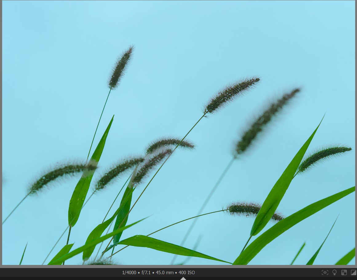 Jo Stephen（ ジョー・スティーブン）さんの写真（1） - computer_philosopher’s diary