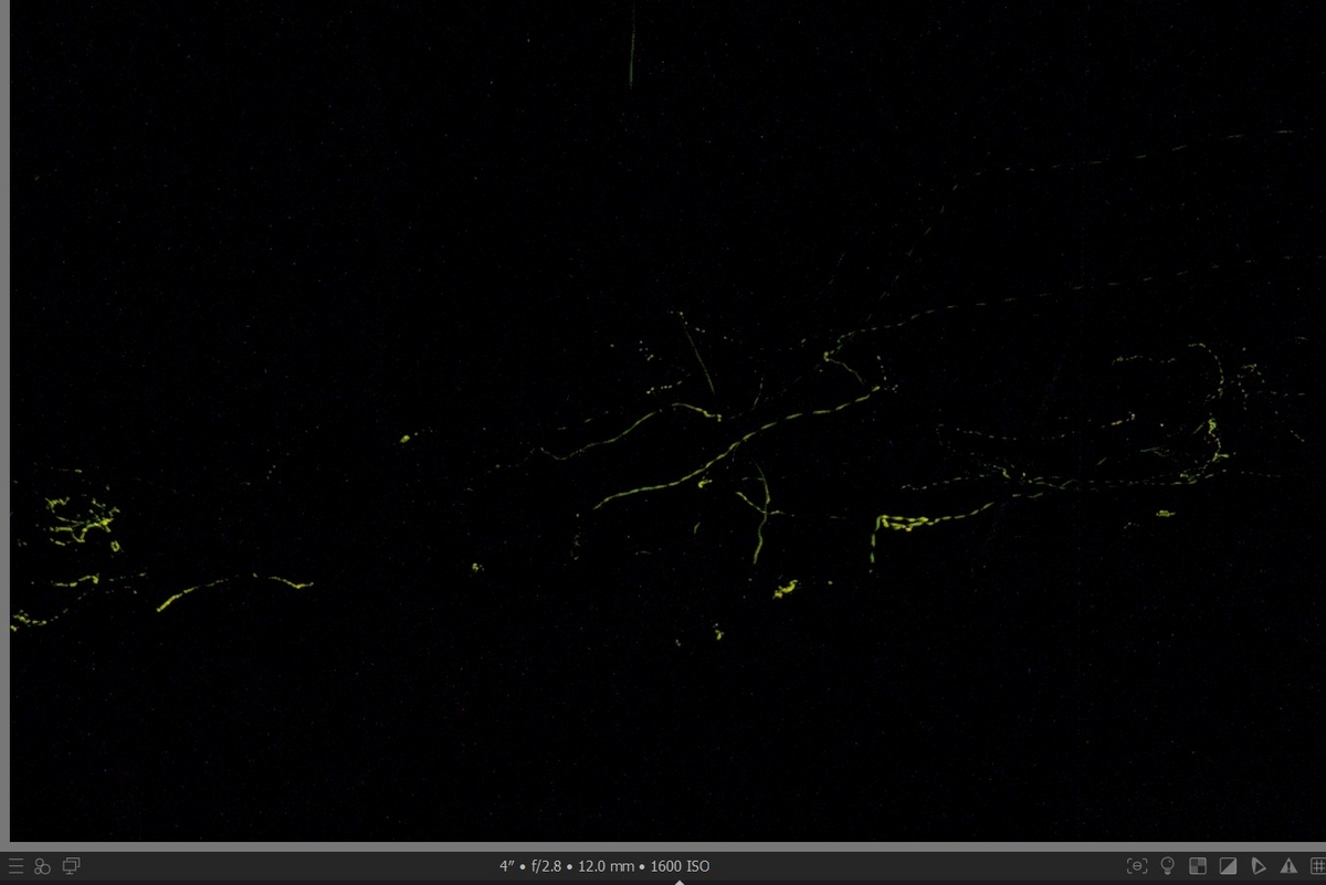 ライブコンポジットのホタル撮影 - computer_philosopher’s diary