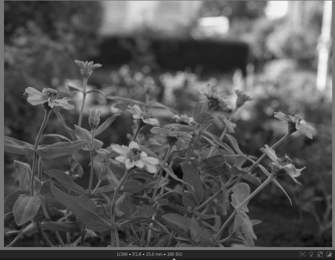 darktableの青写真の作り方 - computer_philosopher’s diary