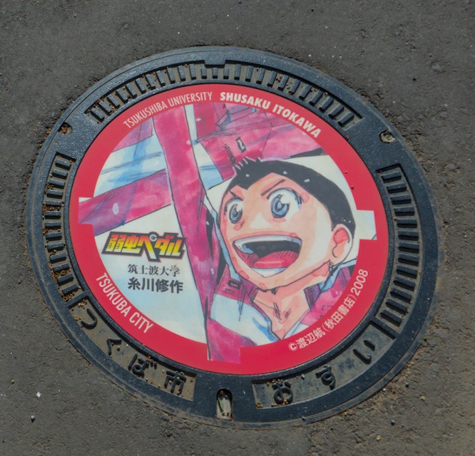 弱虫ペダルマンホール（2）～つくば市とその周辺の風景写真案内（1133） - computer_philosopher’s diary