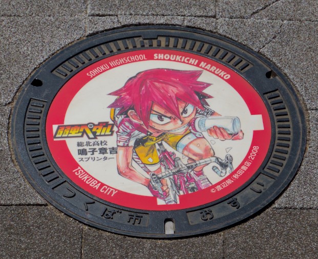 弱虫ペダルマンホール（2）～つくば市とその周辺の風景写真案内（1133） - computer_philosopher’s diary