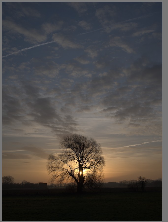 darktableとLRの比較（3）カラーバランスRGB - computer_philosopher’s diary