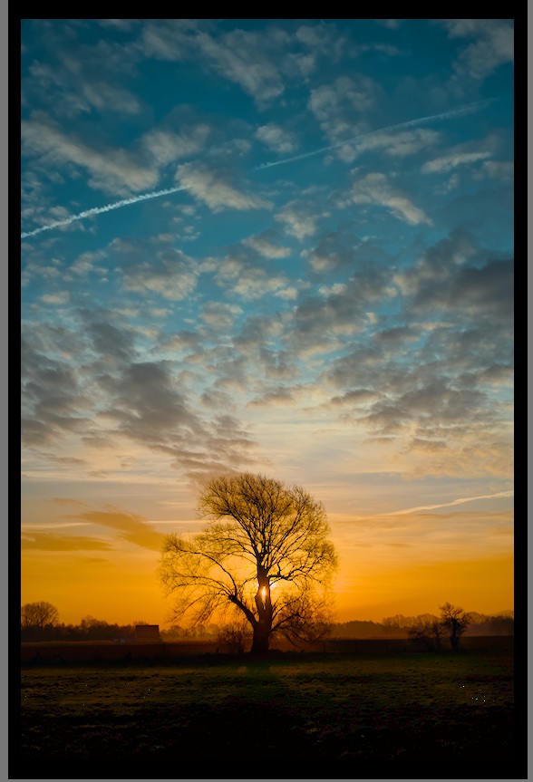 darktableとLRの比較（4）カラーバランスRGB - computer_philosopher’s diary