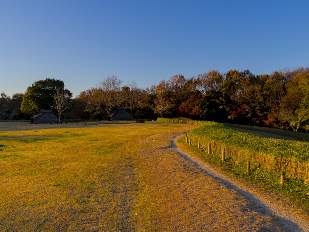 上高津貝塚ふるさと歴史の広場の秋（土浦市）～つくば市とその周辺の風景写真案内（1220） - computer_philosopher’s diary