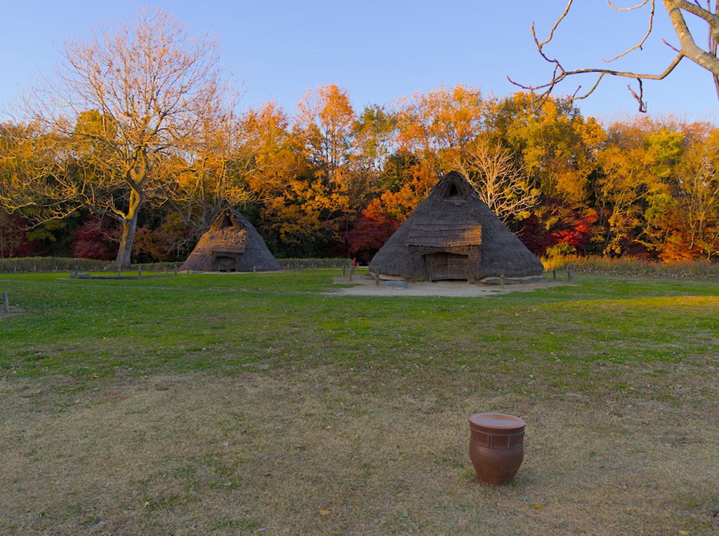 上高津貝塚ふるさと歴史の広場の秋（土浦市）～つくば市とその周辺の風景写真案内（1220） - computer_philosopher’s diary