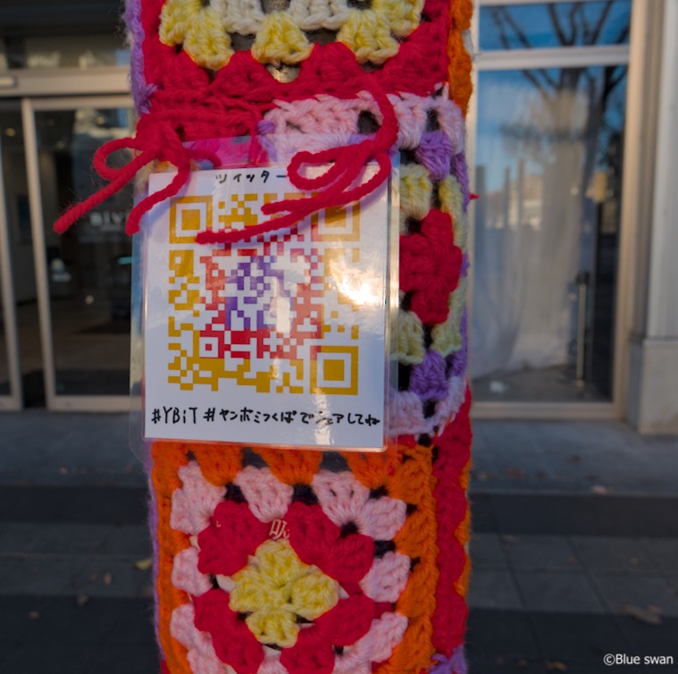 ヤーンボミング～つくば市とその周辺の風景写真案内（1231） - computer_philosopher’s diary