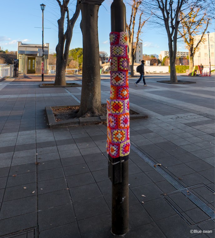 ヤーンボミング～つくば市とその周辺の風景写真案内（1231） - computer_philosopher’s diary