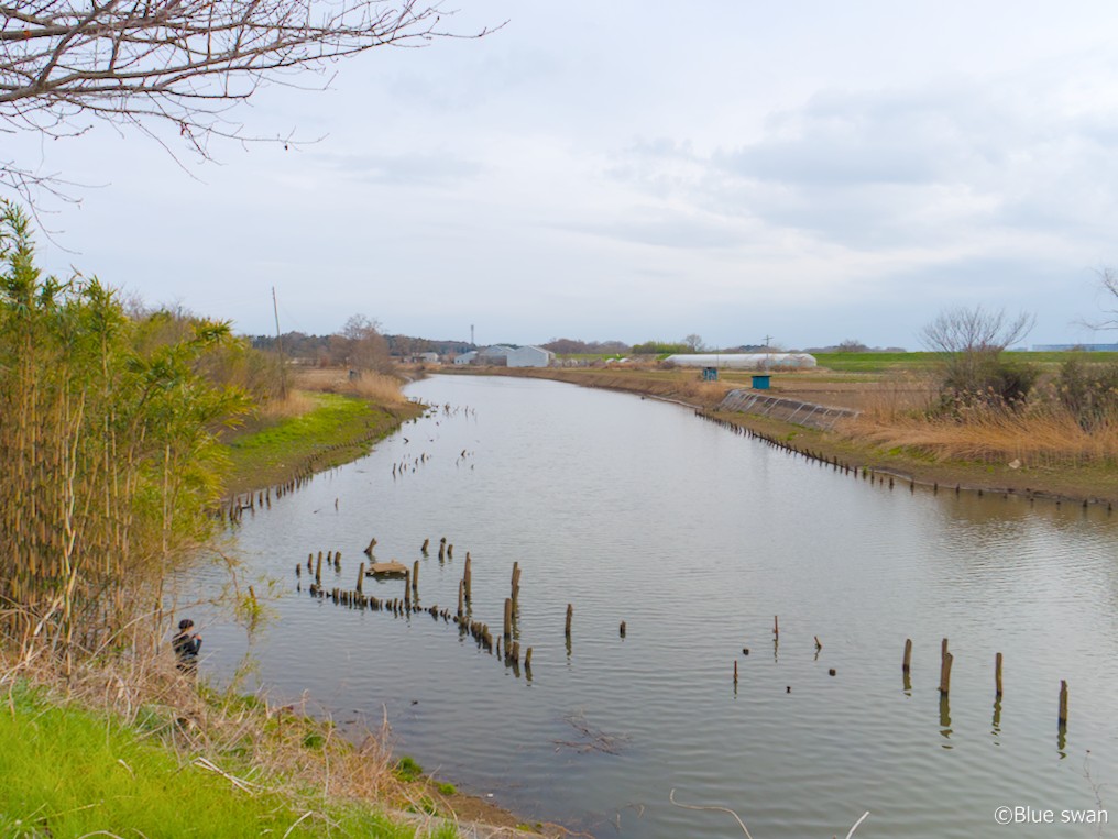 小貝川旧河道～つくば市とその周辺の風景写真案内（1249） - computer_philosopher’s diary