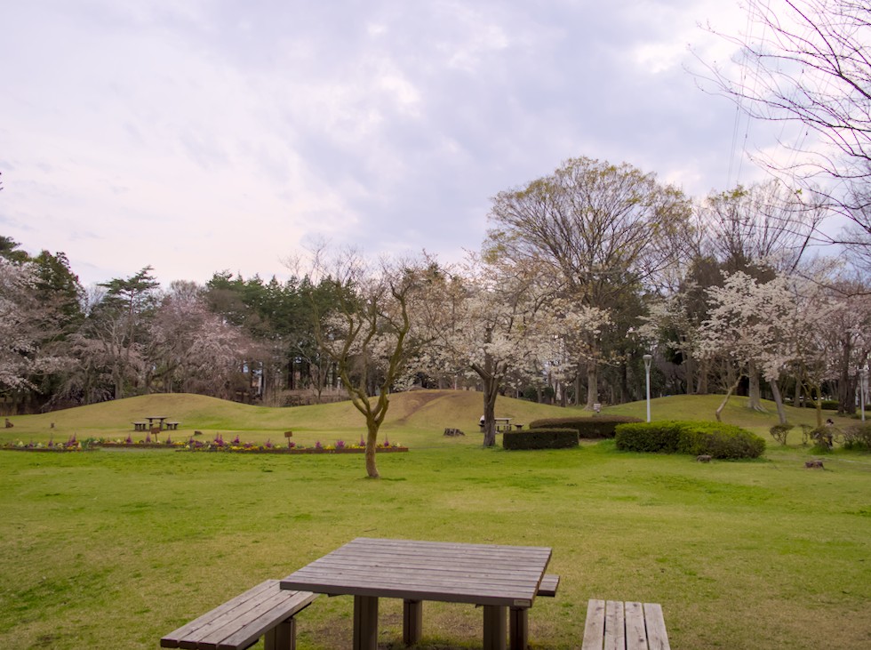 赤塚公園の桜～つくば市とその周辺の風景写真案内（1260） - computer_philosopher’s diary
