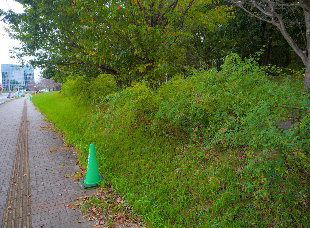 研究学園駅前公園のハギ～つくば市とその周辺の風景写真案内（1327） - computer_philosopher’s diary