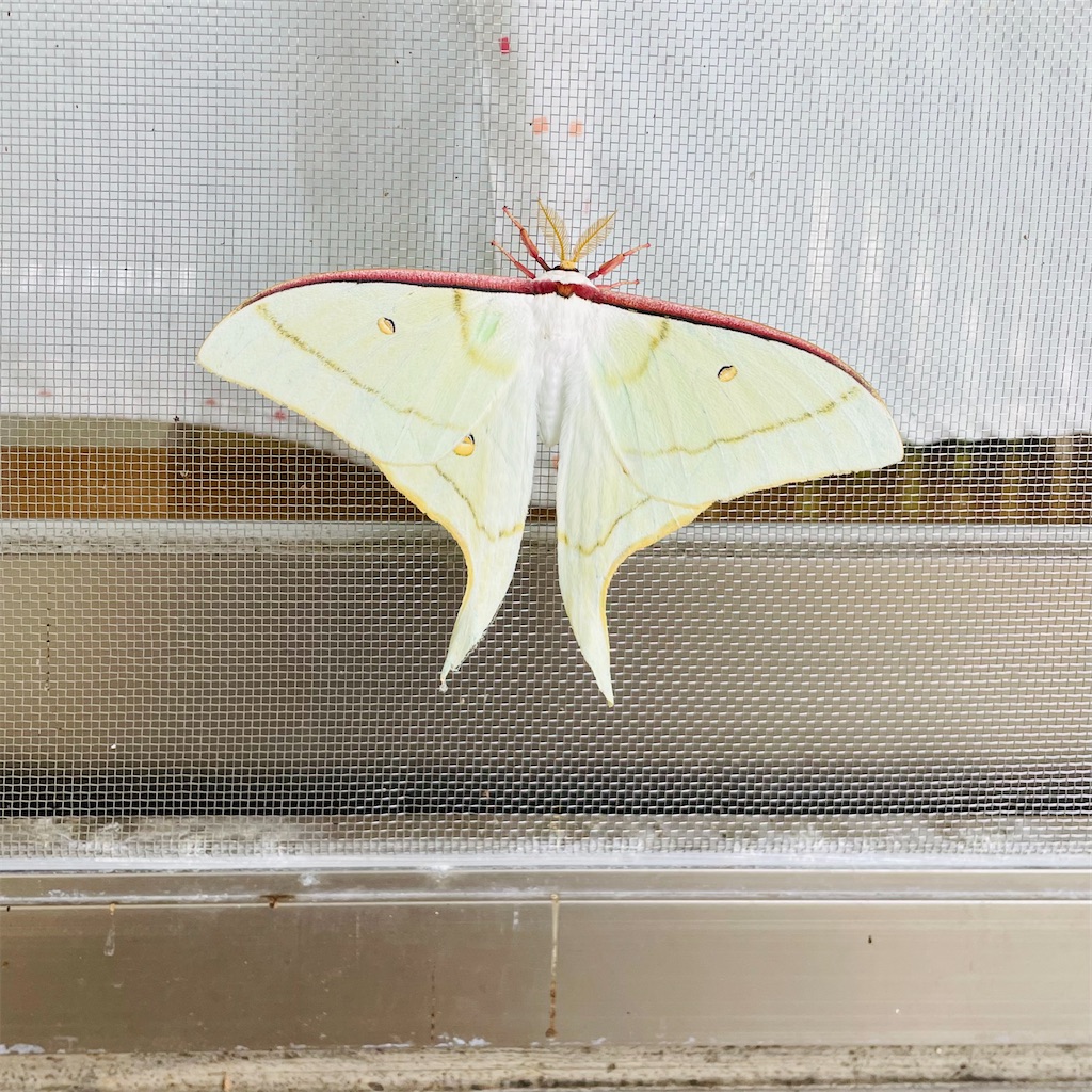 高知市一宮の「ESTEEM CAFE」の日替りランチ - conakichiのブログ