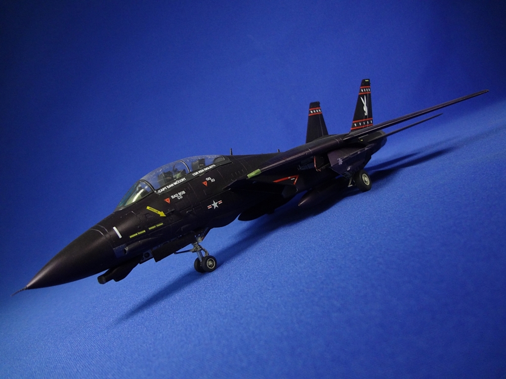 1/72 Scale F-14D Vandy one "Black Bunny" 制作完成 - digital conception