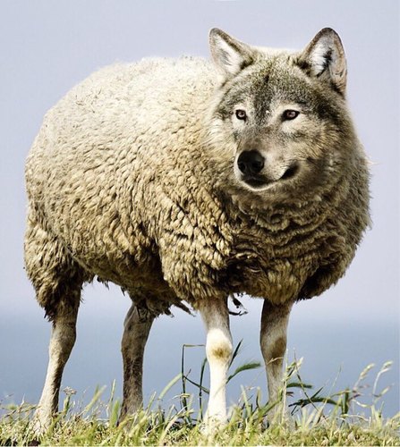 週刊SCP財団【第17週】 - 週刊SCP財団