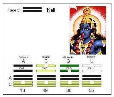 【ヒューマンデザイン】3-60「突然変異」と、久しぶりに内輪の話 - NO PLAN NOTE