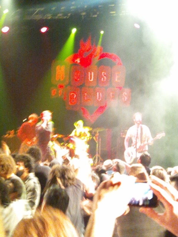 メリケン道中記 BLACK FLAGライブ - CULrides カルライズ