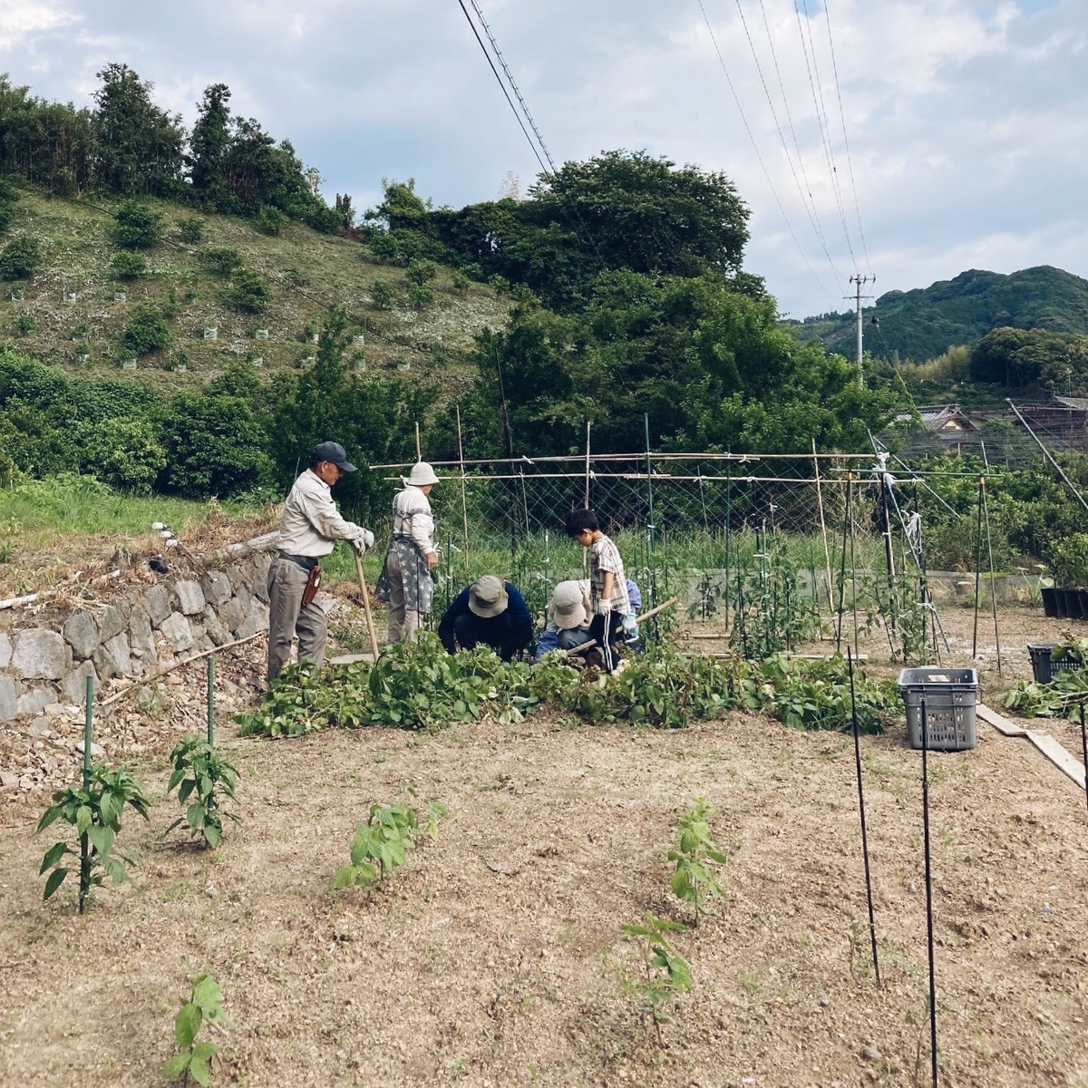 息子のやりたくない！をやりたい！に変えた話 - cultivate tachima