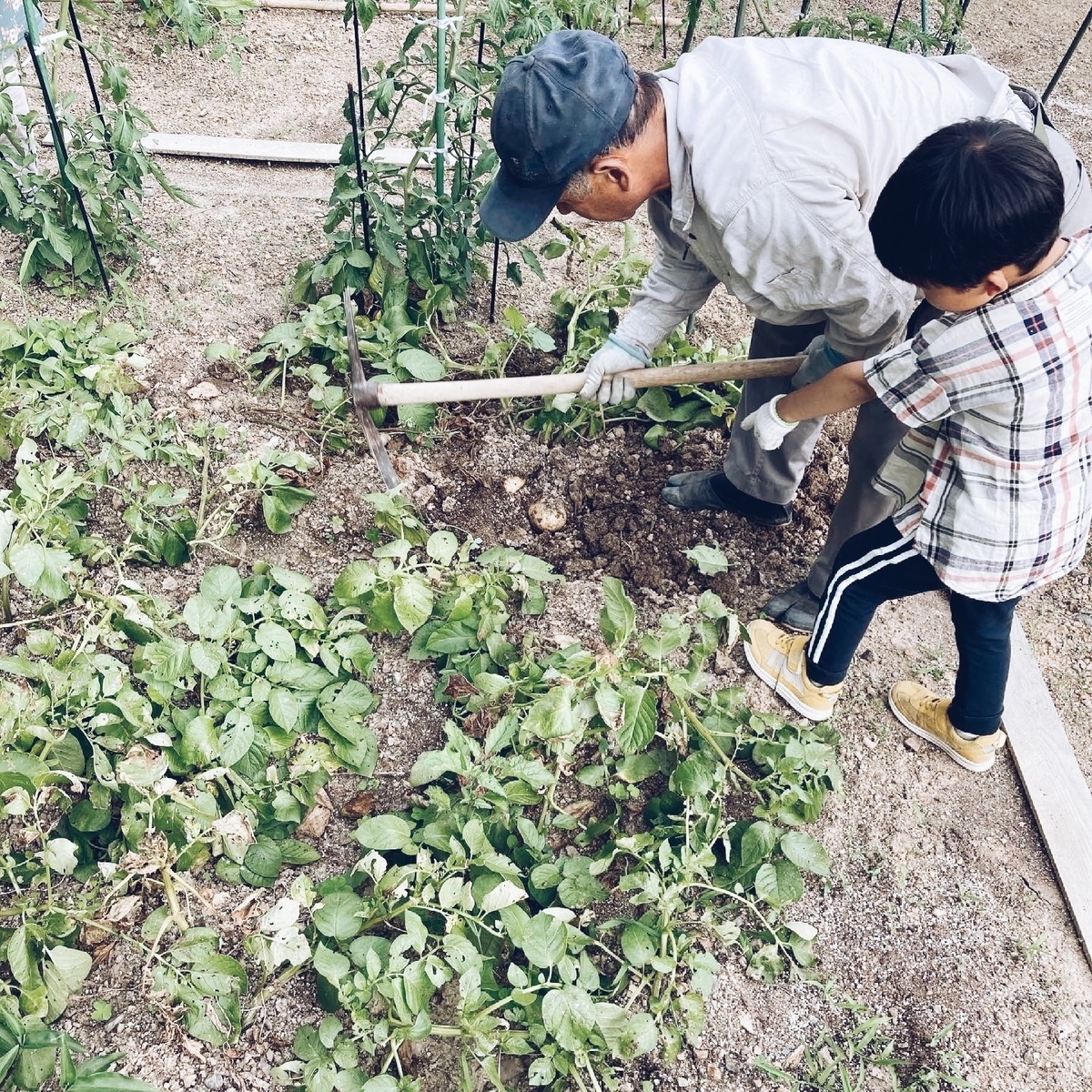 息子のやりたくない！をやりたい！に変えた話 - cultivate tachima