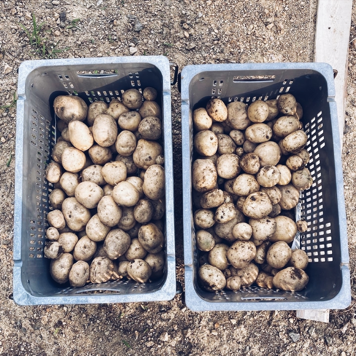 息子のやりたくない！をやりたい！に変えた話 - cultivate tachima