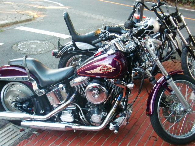 FXST - cycleboss’s blog